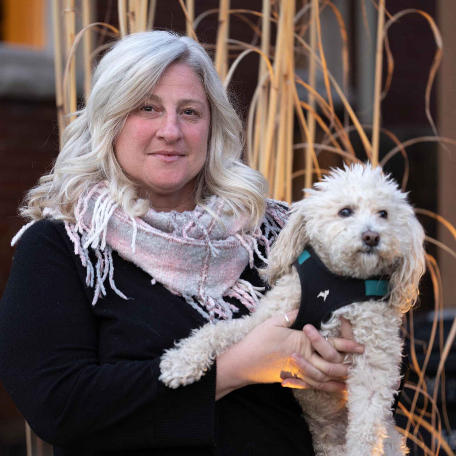 Susan Weinstein, MA, LCSW - Therapist in Denver, CO - City Park ...